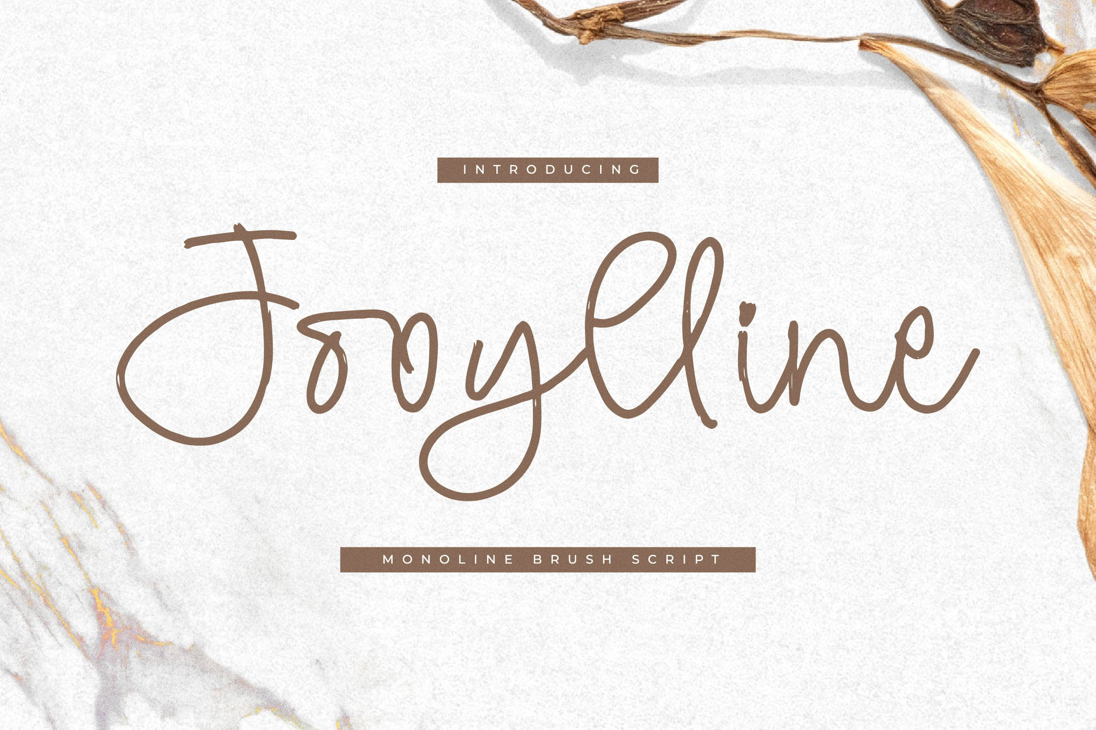 Jooylline - Monoline Brush Script - Letterena Studios